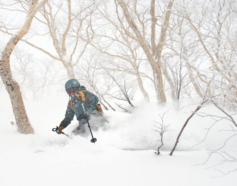 Day Guiding - Summit Ski School Japan